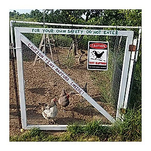 GLOBLELAND 2Pack Caution Tiny Raptors Sign Aluminum Chicken Coop Signs for Farm Kitchen Rooster Hen House Decor Beware of Chicken Signs for Chicken Lady Lovers, 7x10inches Waterproof