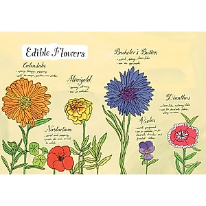 Farm Anatomy: The Curious Parts and Pieces of Country Life