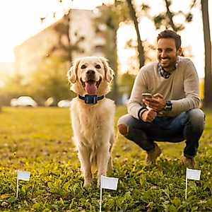 HEXIEDEN Electric Dog Fence,Aboveground/Underground Pet Containment System,with Waterproof/Rechargeable Collar,656Ft Underground Boundary Wire,Shock/Tone Correction,for 1 2 3 Dogs,for2dogs