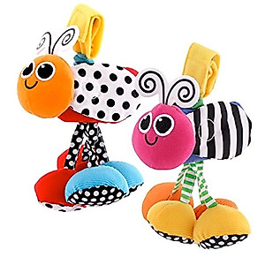 Sassy Jitter Bugs Toy