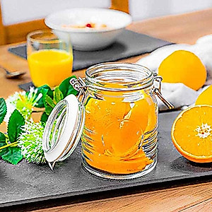 Bormioli Rocco Officina1825 Jar with Swing Top, 17 oz, Clear, 1 Count (Pack of 1)