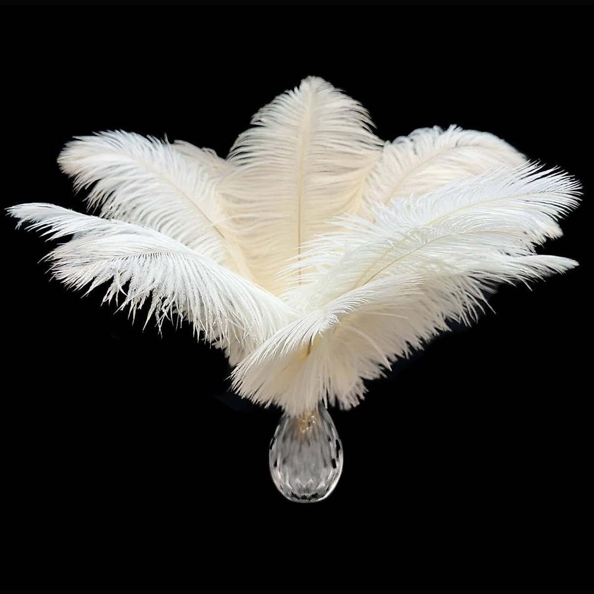Piokio 20 pcs White Ostrich Feathers Plumes 10-12 inch(25-30 cm) Bulk for DIY Christmas Decorations, Wedding Party Centerpieces, Gatsby Decorations