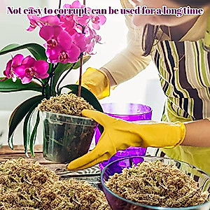 Legigo Natural Sphagnum Moss Potting Mix- Carnivorous Plant Moss Dried for Sarracenia Orchid Gardening Plants 2 Quart Sized Bag(Appx.3oz)