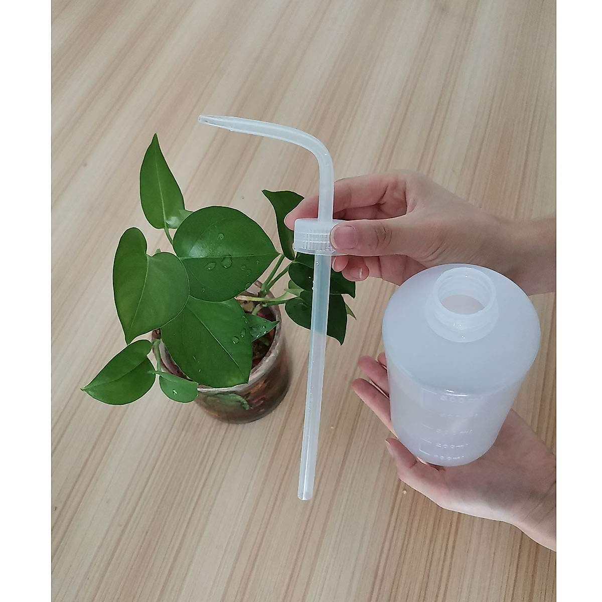 Valchoose 2Pack 500ml Squeeze Bottle 16.9oz, No Spill Wash Bottles Large with Handy Measurement Lines, Wash Bottles Squeeze Spout Flowing Well