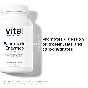 Vital Nutrients Pancreatic Enzymes 1000mg (Full Strength) | Pancreatin Digestion Supplement with Protease, Amylase & Lipase | Digestive Enzymes | Gluten, Dairy, and Soy Free | 90 Capsules