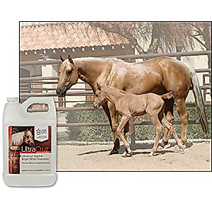 UltraCruz Equine Bright White Horse Shampoo, 1 Gallon