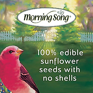 Morning Song Sunflower Hearts & Chips Wild Bird Food, No Mess Sunflower Seeds for Birds, 5.5-Pound Bag