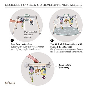 Taf Toys Foldable Baby Play Gym. Double Sided Infant Activity Center with Black, White & Color Toys, XL Baby-Safe Mirror & Activity Toys. Hanging Bar Toddler Toy Little Dove Baby Playmat