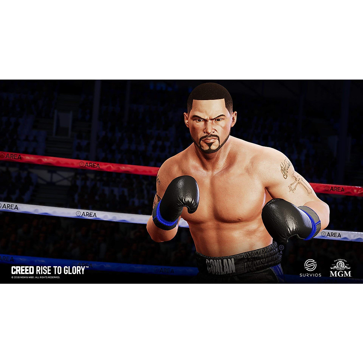 Creed: Rise to Glory PSVR (PS4) UK IMPORT