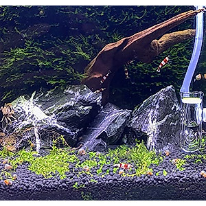 LANDEN Natural Tonwa Stones Slate Stones for Aquariums Terrariums, Paludarium,Vivariums, Reptile and Amphibian Enclosures (17lbs, 2 to 8 inches)