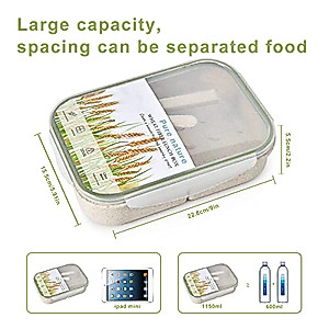 bacxigo Bento Box, Bento lunch Box for Kids and Adults, Lunch Container with Fork and Spoon, Leak Proof Lunch Box, Microwave and Dishwasher Safe Bento Boxes,Mom’s Choice Kids Lunch Box