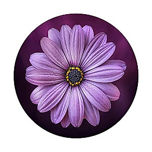 Purple Daisy Flower For Women PopSockets Swappable PopGrip