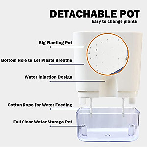 4 Pack Self Watering Pots for Indoor Plants, Self-Watering Planters Box Transparent for Devil's Ivy, Spider Plant, Orchid for Home & Office. African Violet Pot for Outdoor Plants (Rectangular,7”)