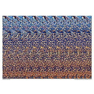 Set of Six 18"x13" Stereogram Posters (Set#2)