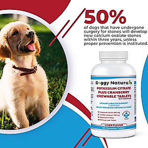 Potassium Citrate Plus Cranberry with Magnesium Supplement for Dogs (60 Tablets) - Urinary Tract Support - Helps Deter Formation of Calcium Oxalate Stones-Deters Bladder & Kidney Stones(Made in U.S.A)