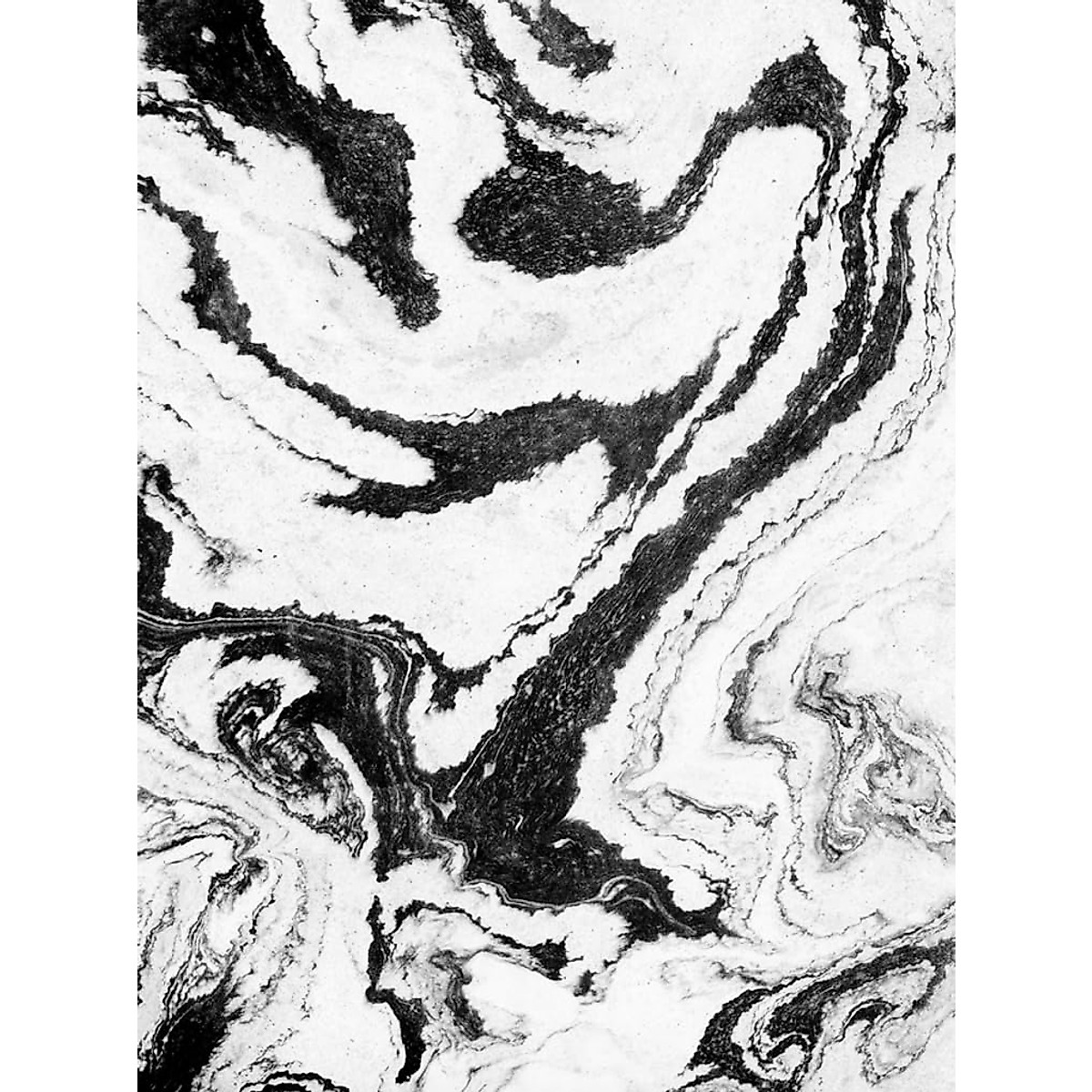 MeganJDesigns Francesca Collection Black and White 2x3 Marble Abstract Area Rug