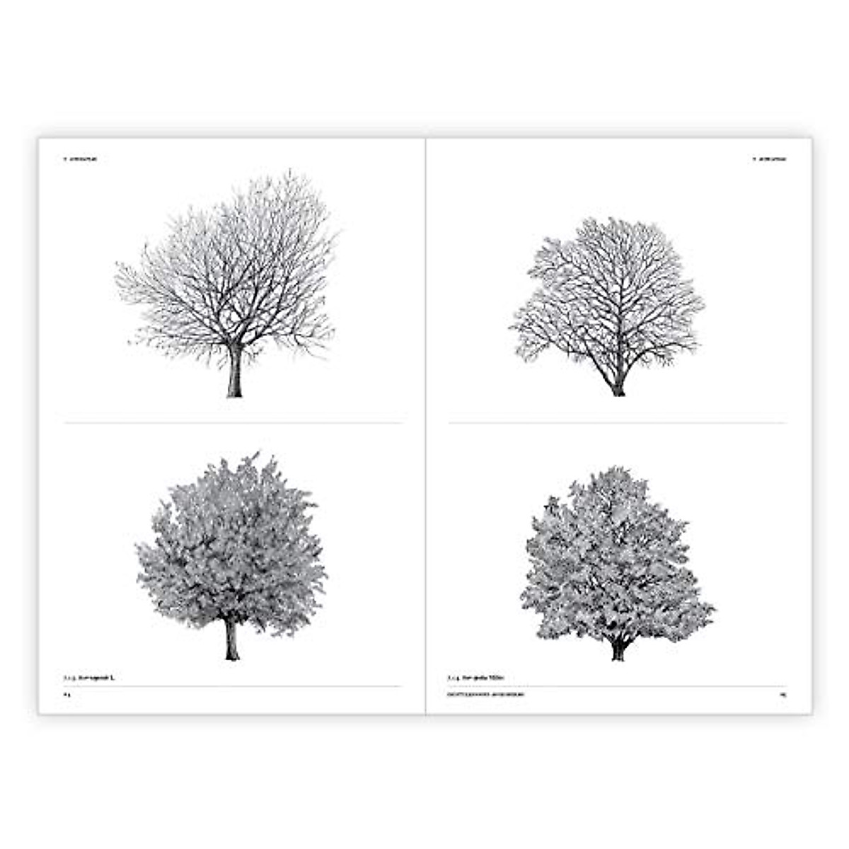The Architecture of Trees