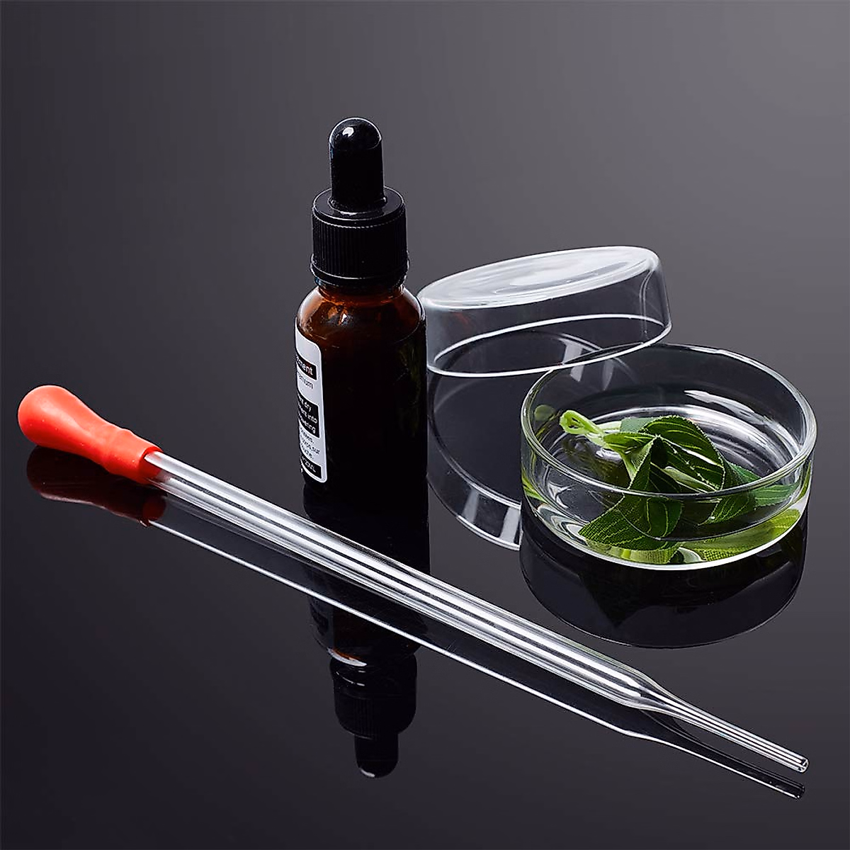 OLYCRAFT 6PCS Glass Petri Dishes High Borosilicate Glass Bacterial Culture Dishes with Lid 60mm Dia x 18mm Deep with 2pcs Glass Culture Plate for Laboratory School Science Project