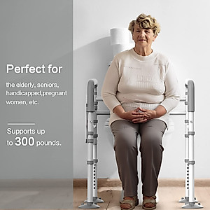 Agrish Stand Alone Toilet Safety Rail - Adjustable Width & Height Fit Any Toilet, Medical Toilet Frame for Elderly Handicap Disabled, Folding Handrails