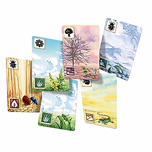 Meadow Board Game - Nature Observing Drafting and Set Collection Game, Strategic Exploration, Fun Family Game for Kids & Adults, Ages 10+, 1-4 Players, 60-90 Minute Playtime, Made by Rebel Studio