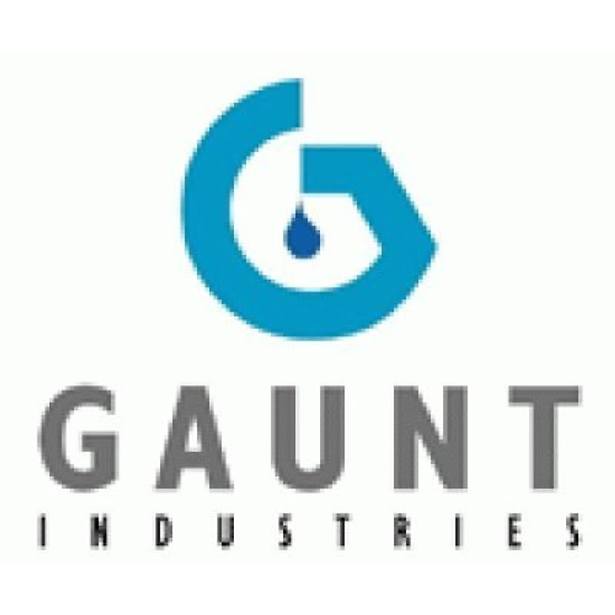 Gaunt Industries HYPO-49 (2 Pack)- Craft Glue Applicator - 2 Ounce Clear Plastic Bottle with 18 Gauge Blunt Needle tip - Quilter's Basting Glue Dispenser