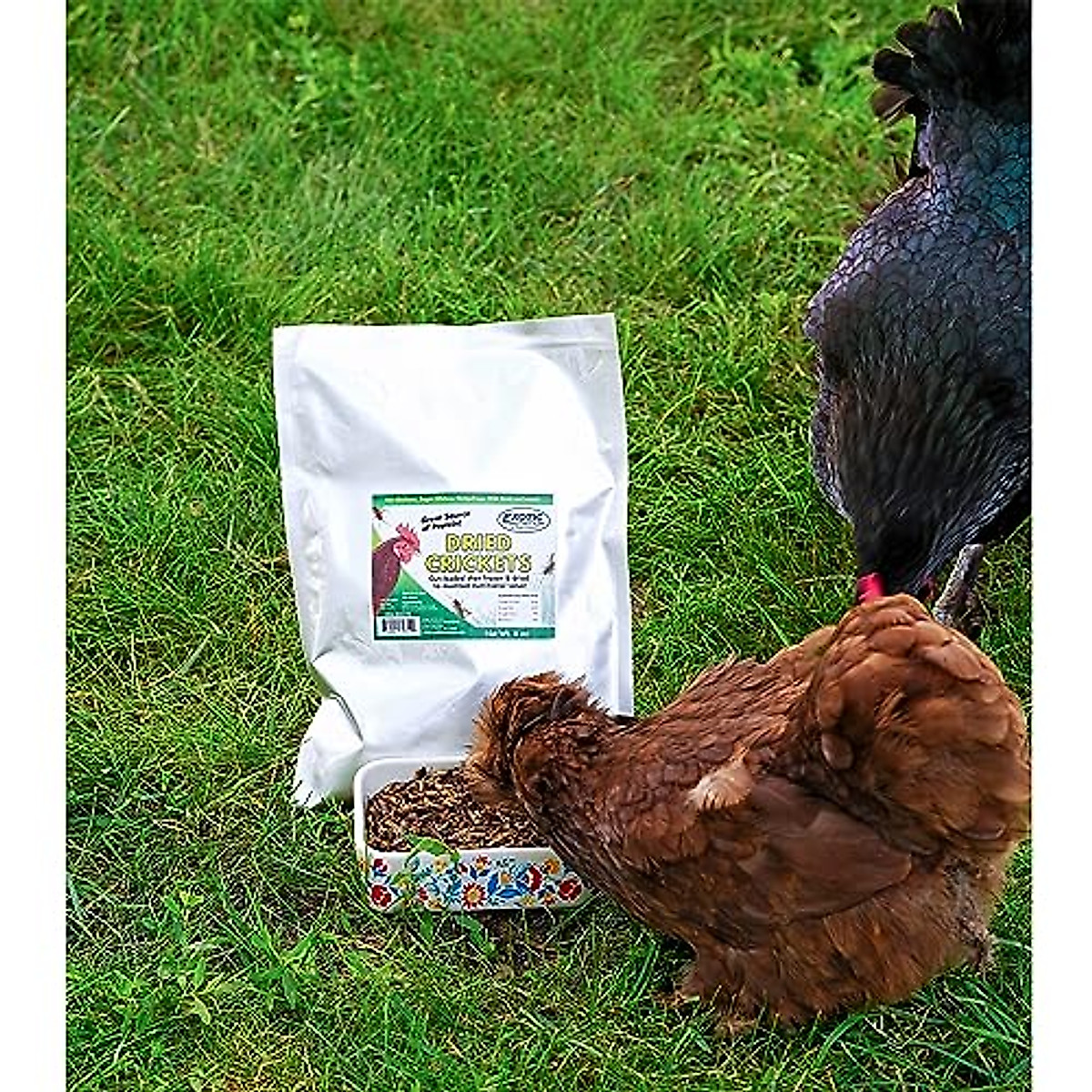 8 oz Dried Crickets - High Protein Insect Treat - Chickens, Wild Birds, Hedgehogs, Bluebirds, Reptiles, Sugar Gliders, Opossums, Skunks, Lizards, Bearded Dragons, Fish, Amphibians, Turtles (1)