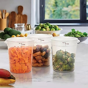 Cambro 6-Quart Round Food Storage Container with Lid - BPA-Free,2 pack with Scraper Bundle, Restaurant Containers with Lids for Bread Proofing, Clear Plastic Storage Bins with Lids