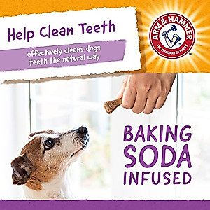 Arm & Hammer for Pets Nubbies Dental Treats for Dogs | Dental Chews Fight Bad Breath, Plaque & Tartar Without Brushing | Peanut Butter Flavor, 20 Count