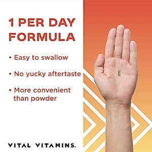 Vital Vitamins Brain Supplements for Memory & Focus - Brain Booster Nootropic - Brain Support for Concentration & Brain Fog - with Ginkgo Biloba, DMAE, Vitamin B12 - Energy Pills - 30-Day Supply