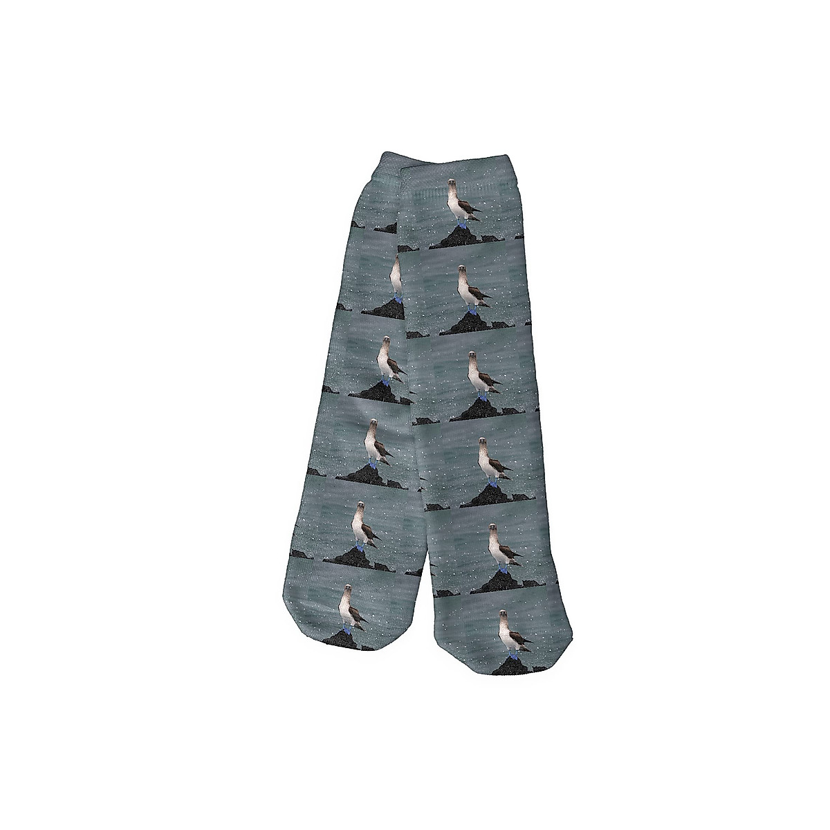 SpreadPassion Blue Footed Booby Sula Nebouxii Galapagos Socks - Galapagos Novelty Socks - Soft and ultra-comfortable Birthday Gifts Socks