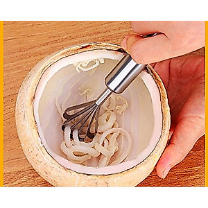 Alwaysuc Stainless Steel Coconut Meat Removal Knife, Multi-Purpose Stainless steel planer