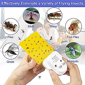 Flying Insect Trap Plug in, Indoor Electric Fly Insect Trap Gnat Killer for House Home, Catch Fruit Flies, Mosquitoes, Gnats, Moths & Other Insects with UV Light and 10 Pcs Sticky Pads, 2 Pack