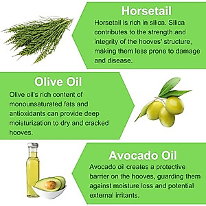 Pure Sole Hoof Oil - All Natural Hoof Conditioner for Horses with Hoof Oil Brush Applicator - Strengthens, Moisturizes and Treats Hoof Problems - 16 fl oz.