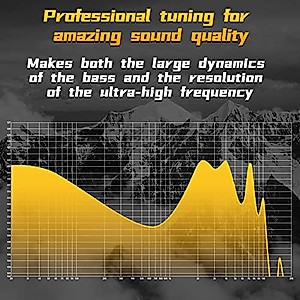 KZ ESX Noise Cancelling Wired Earbuds with Microphones,Audiophile Headphones Built-in 12MM Super Dynamic Driver,0.75mm 2Pin Silver-Plated Removeable Cords for Airplane Travel,Sports