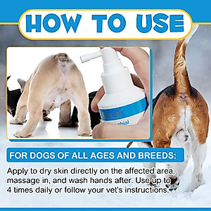 Anal Gland Spray for Dogs, Dog Anal Gland Spray with Aloe Vera & Chamomile Supports Pain Relief, Stop Scooting, Reduce Tough Odors & Soothes Itching - Dog Supplies Anal Gland Support Spray - 4.4 Fl Oz