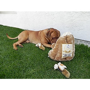 Kyjen Plush Puppies 70th Anniversary Hide-A-Squirrel, Limited Edition