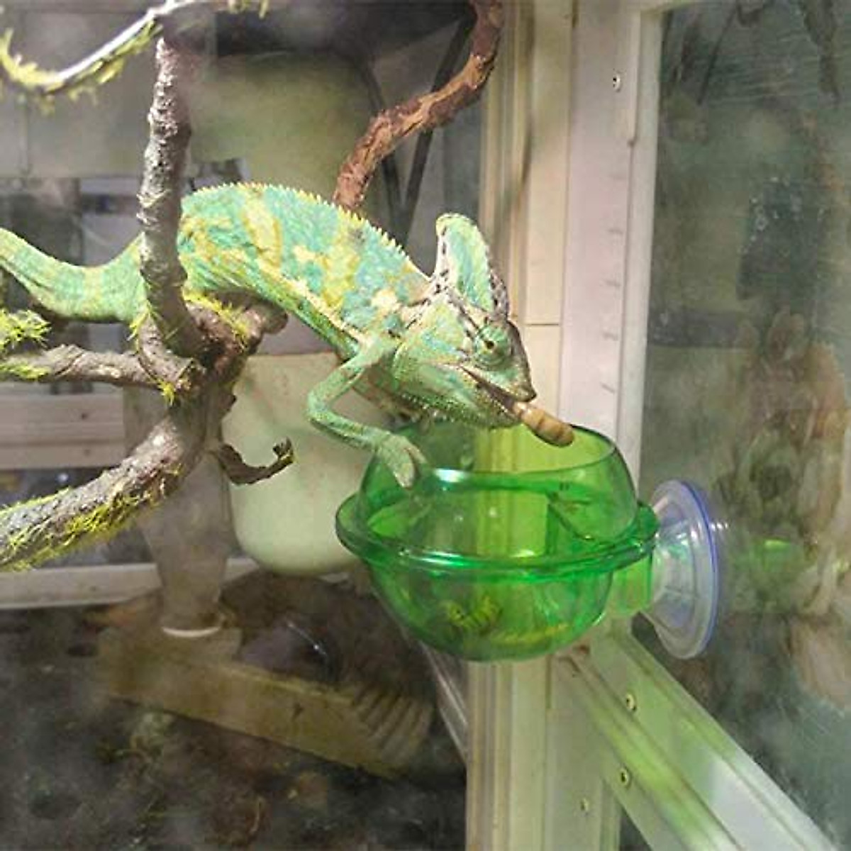 Suction Cup Reptile Feeder, Anti-Escape Reptile Food Bowl, Chameleon Bowl, Worm Live Fodder Container ,Translucent Home Pet Feeder Supplies Accessories for Tortoise Gecko Snakes Chameleon Iguana