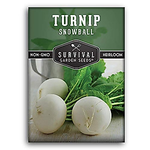 Survival Garden Seeds - Turnip Snowball Seed for Planting - Packet with Instructions to Plant and Grow Root Vegetables and Greens in Your Home Vegetable Garden - Non-GMO Heirloom Variety