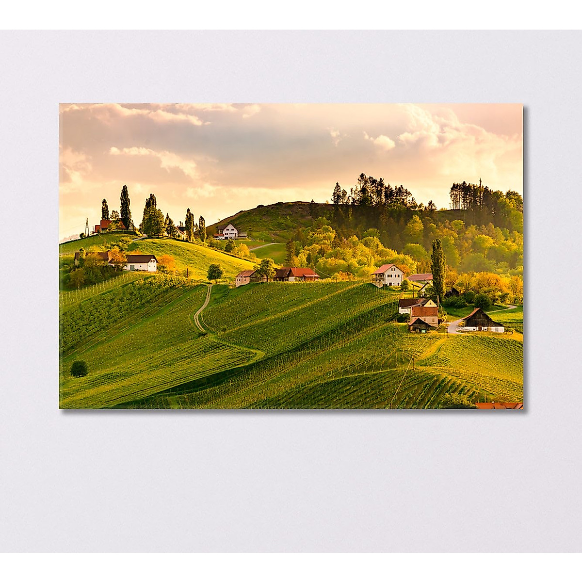 Vineyard Landscape South Styria Austria Canvas Print 1 Panel / 36x24 inches