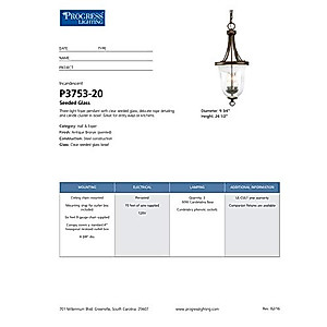 Progress Lighting P3753-20 Seeded Glass Hall & Foyer, Bronze