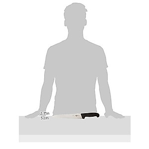 Victorinox Blade1 Fibrox Pro Black Carving-Straight 10" Semi-Flexible Pointed Blade 1" Width at Handle, 10 inch, Multi