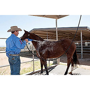 Weaver Leather eZall Complete Starter Bath Kit, Blue