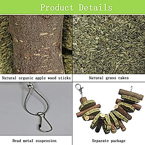 PINVNBY Bunny Chew Toys for Teeth Natural Organic Fruitwood Rabbits Cage Molar Sticks for Chinchillas, Guinea Pigs, Hamsters, Parrots and Other Small Pet Chewing Improve Dental Health