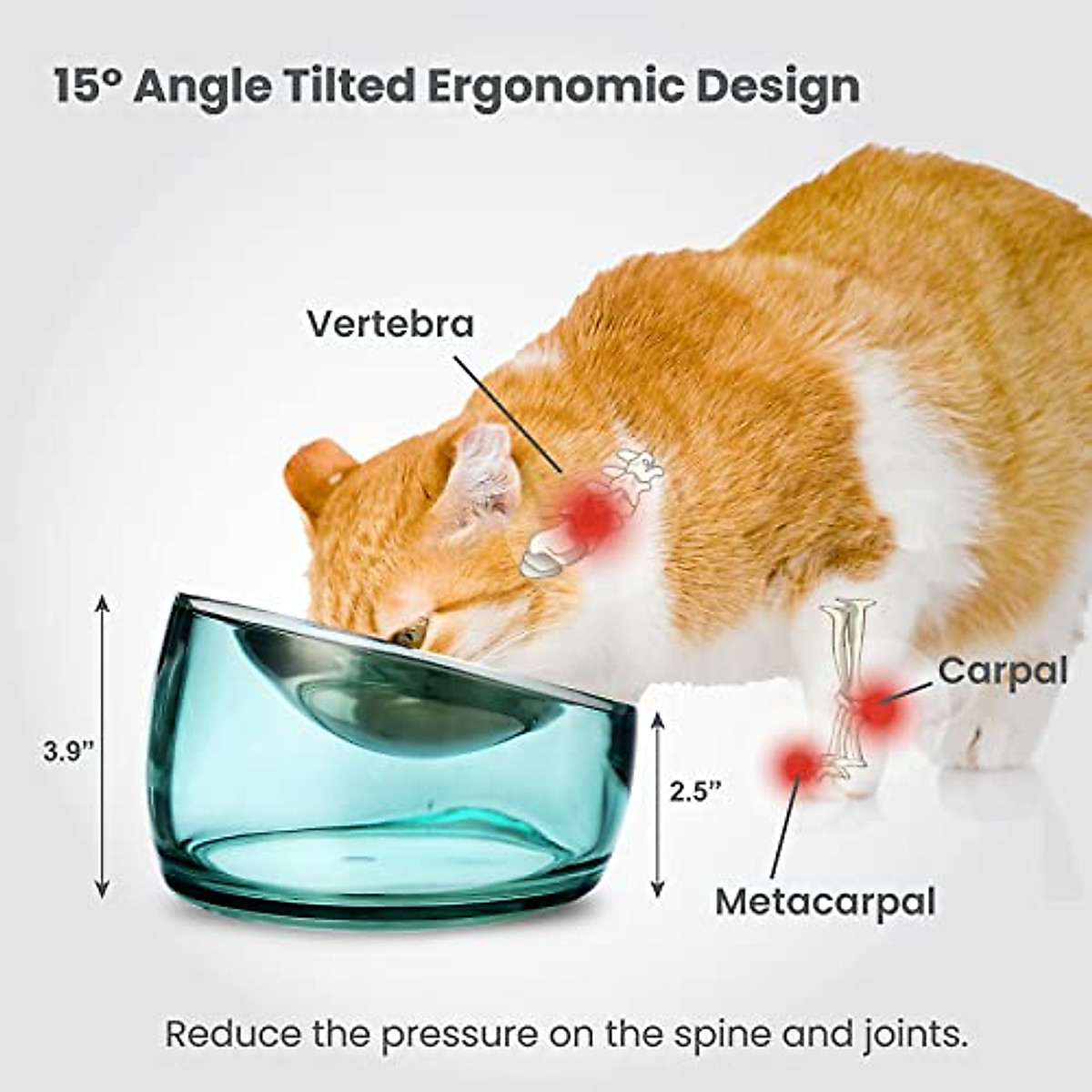 Felli Pet Oblik Whisker Fatigue Friendly Raised Cat Food Bowl Stainless Steel, Anti Vomiting Tilted Shallow Dish Easy Clean, Slanted Flat Metal Feeder Elevated Angled Spill Proof (0.5Cups, Classic)