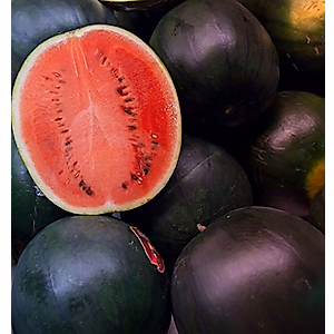 50 Black Diamond Watermelon Seeds for Planting - Heirloom Non-GMO Fruit Seeds for Planting - Grows Big Giant Watermelons Averaging 30-50 lbs