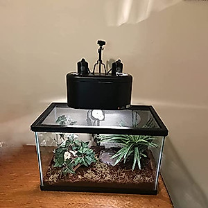 Dual Reptile Light Fixture Terrarium Heat Lamps Deep Lamp Dome Reptiles Lighting Heating Lamp Combo Holder for Iguana,Tortoise,Hamster,Snake,Habitat Independent Control without Bulbs 150w black