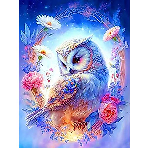 Suyaloo Owls Diamond Painting Kits for Adults - 5D Diamond Art Kits for Adults Kids Beginner,DIY Flowers Diamond Painting Round Full Drill Round Rhinestone for Home Wall Decor 11.8X15.7inch