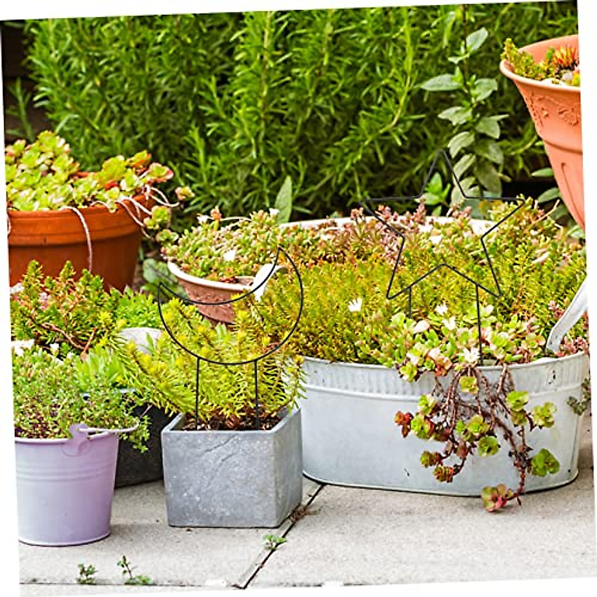 COHEALI 2pcs Flower Arrangement Roses Plants Tomato Plants Flowers Plants Flowers Trellis Climbing Plant Support Plant Support Ring Flower Support Rack Plant Stem Support Iron Trellis Vine