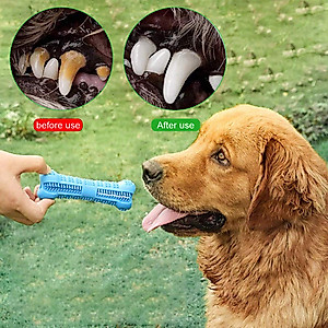 Emoly Dog Toothbrush Care Cleaning Stick - Dog Toothbrush Chew Toy Stick for Dog Dental Care- Safe, Bite Resistant Natural Rubber Toy Bone for Teeth Cleaning- Suitable for All Breed of Dogs (Blue)