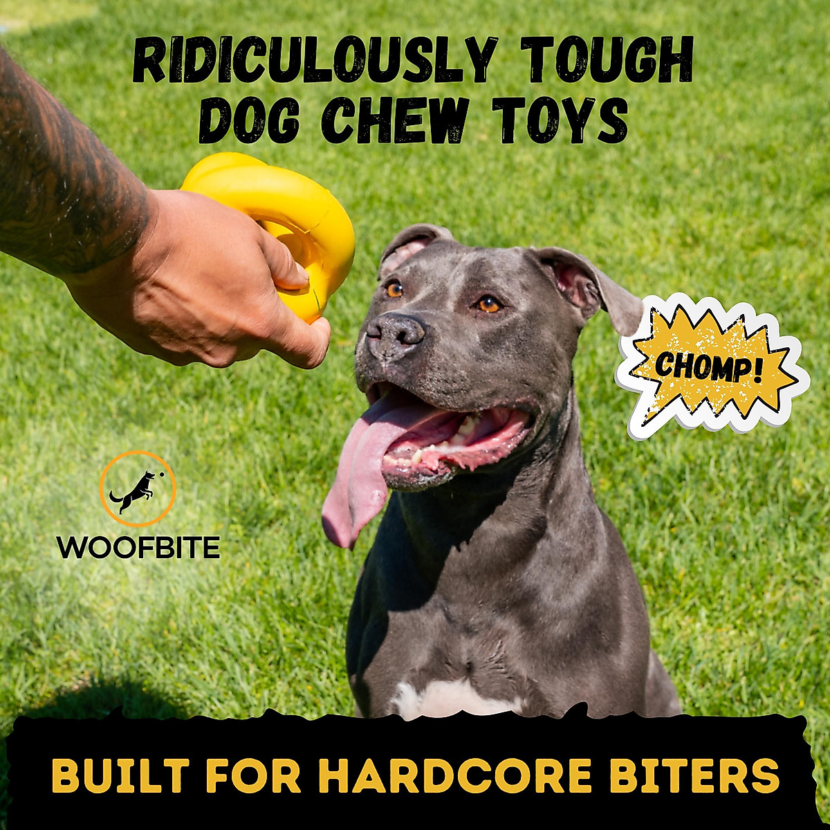 WoofBite Indestructible Ring Ball - Lifetime Replacement - for Aggressive Chewers, Medium Large Breed - Non-Toxic Natural Rubber Dog Toys - Butter Scent, Yellow (Highly Visible Color for Dogs) - 4.5”